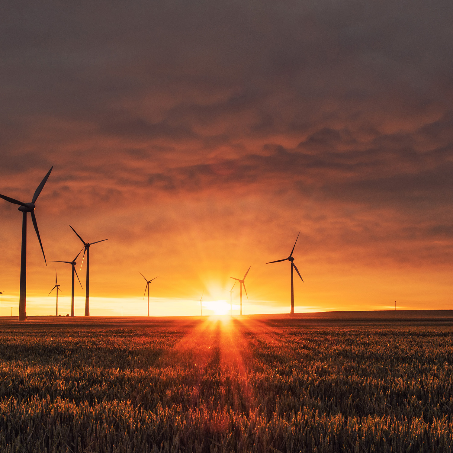 Regional Centre for Energy and Environmental Sustainability