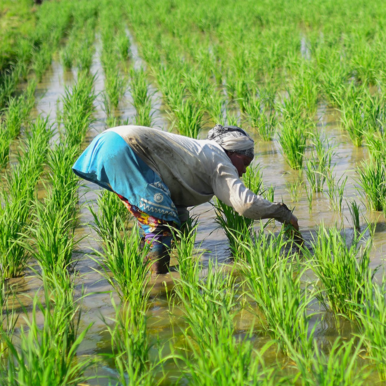 Site is undergoing maintenance